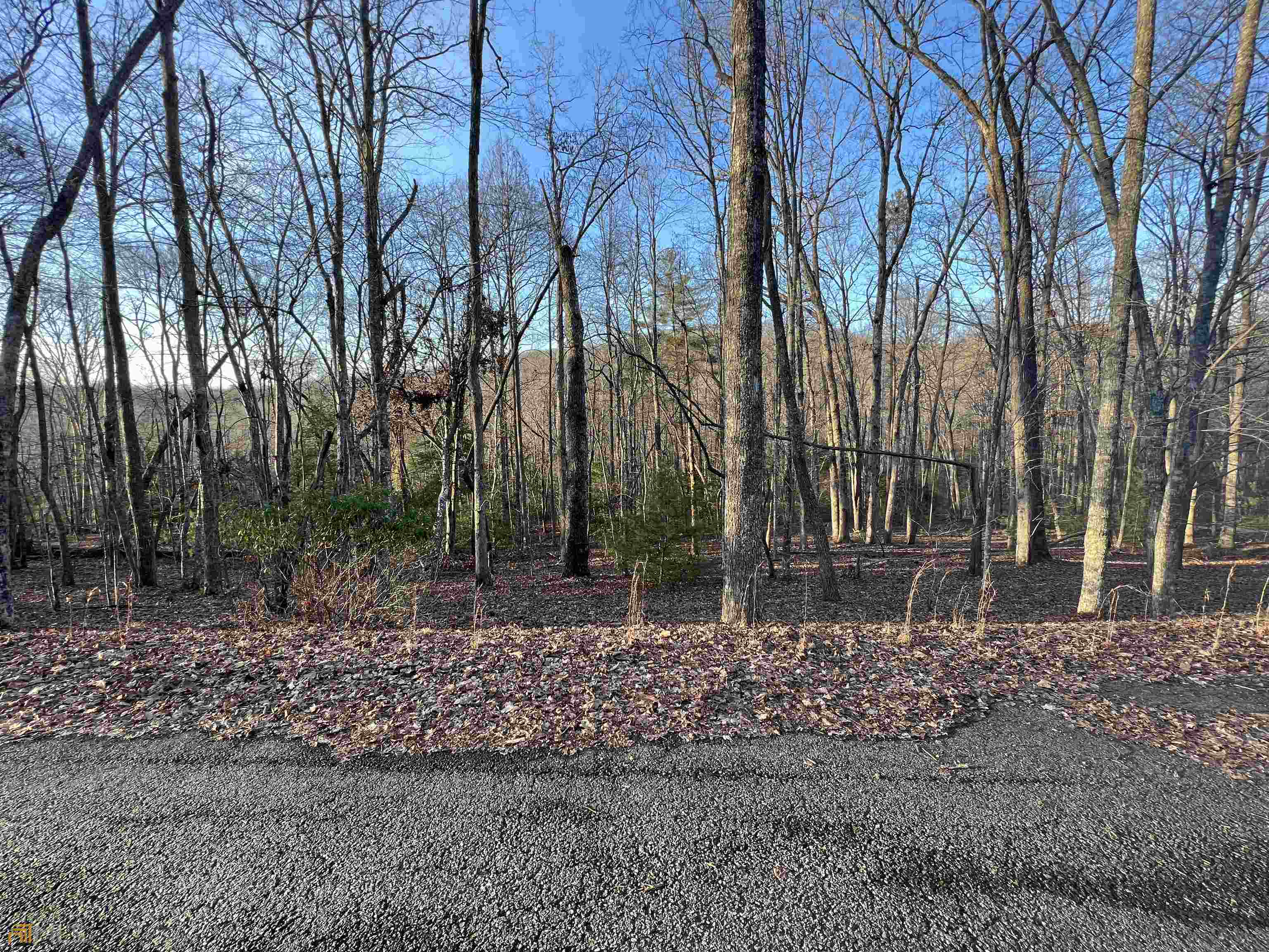 Lot 24 Turkey Scratch Road